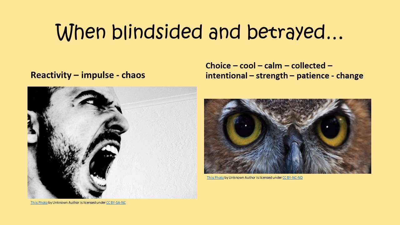 Blindsided and Betrayed – Relationship with Your Mindset